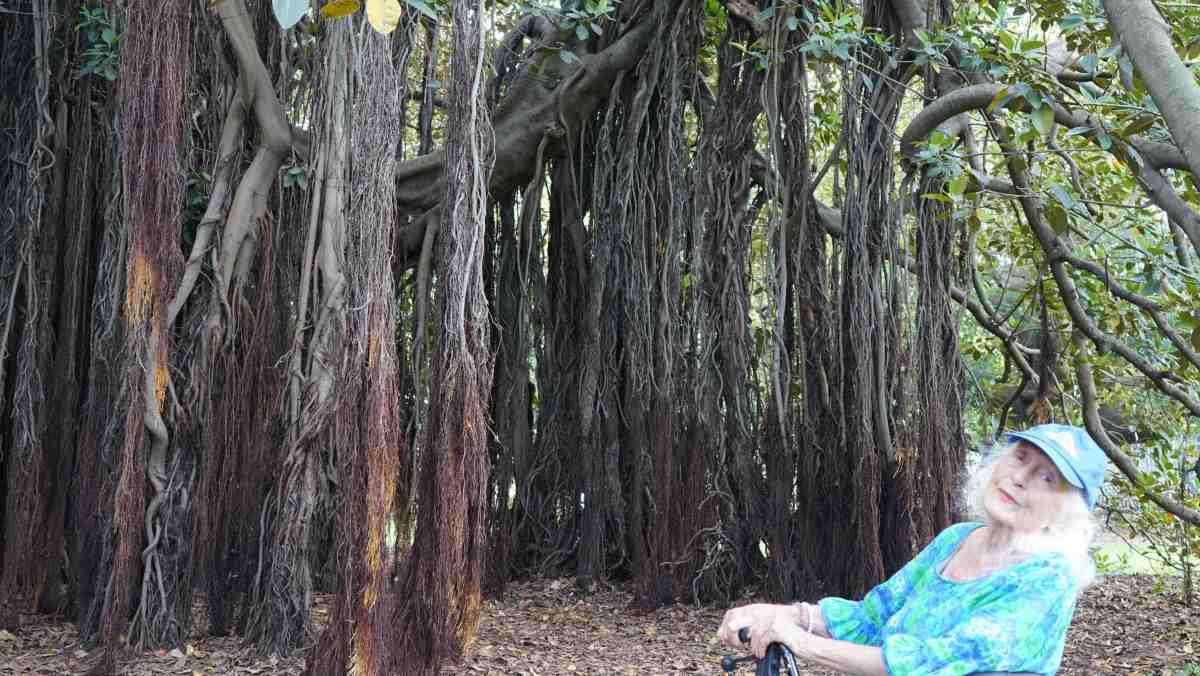 On location inside the ‘Ancient Mother Tree’ – Eileen Kramer